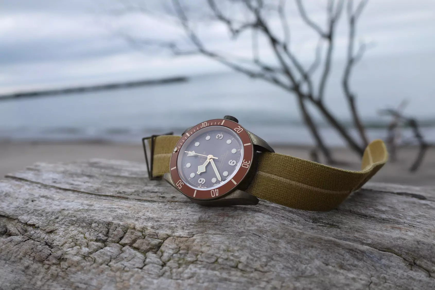 거래를 봉인한 것: Chris의 Tudor Black Bay Bronze - Time and Tide Watches 9490_1