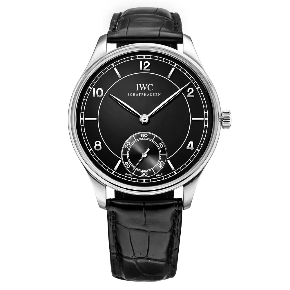 iwc sector dial